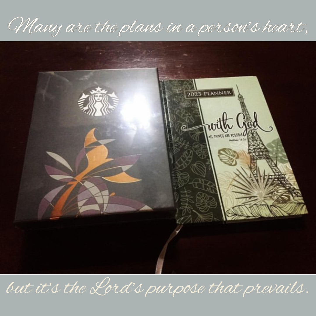 Captain Plan It – This Small Life